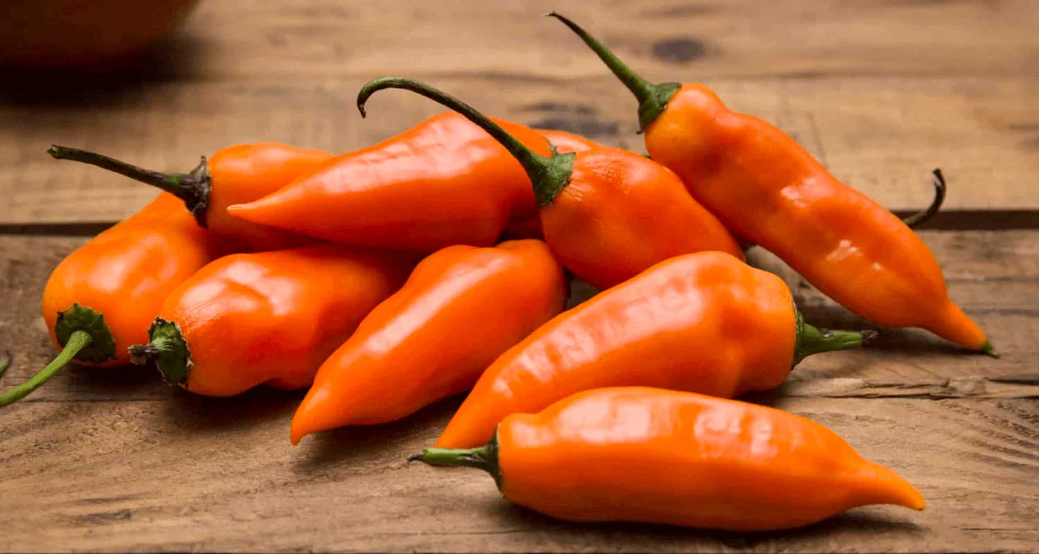 How Spicy is Peruvian food? Discover Which Dishes Are Spicy